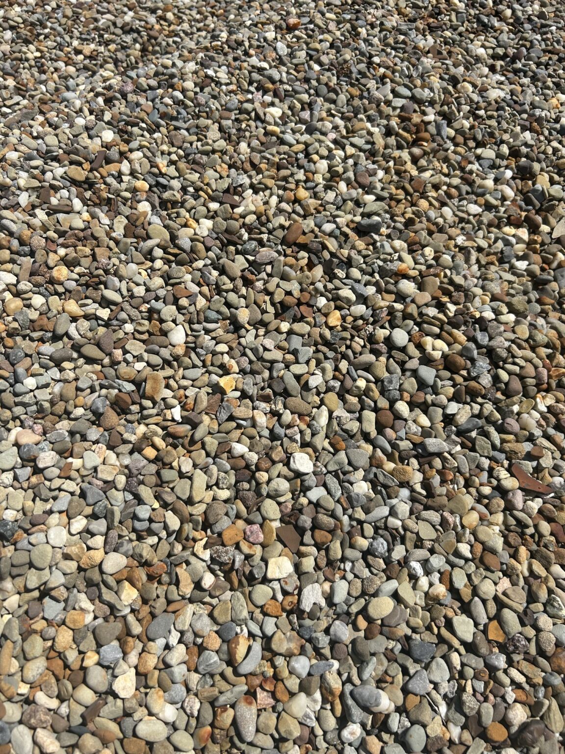 Pea Gravel (jelly bean size) - Wolfscape